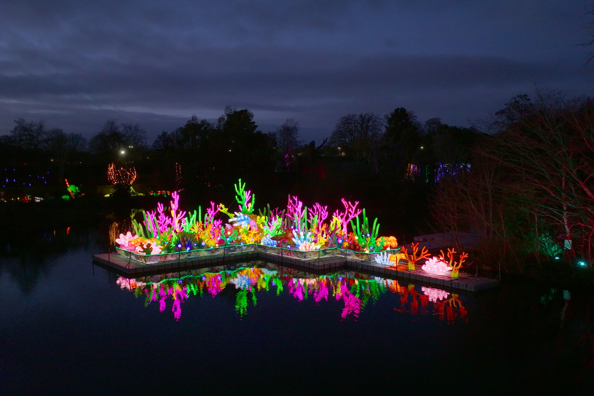 Wild Lights at Dublin Zoo - Event Safety - Safe Events Global